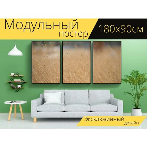 Модульный постер "Трава, сухой, поле" 180 x 90 см. для интерьера