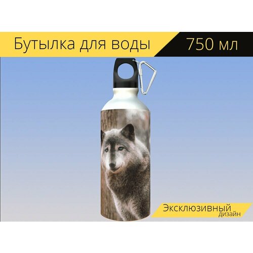 Бутылка фляга для воды "Серый волк, счастливый, дикий" 750 мл. с карабином и принтом