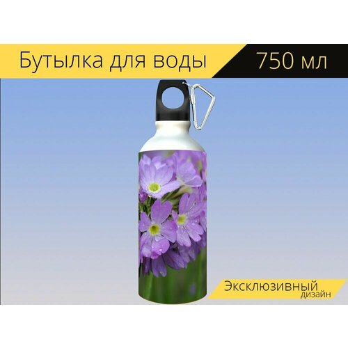 Бутылка фляга для воды "Первоцвет, первоцветы, розовофиолетовый" 750 мл. с карабином и принтом