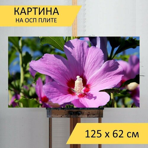 Картина на ОСП 125х62 см. "Гибискус, цветы, фиолетовый цвет" горизонтальная, для интерьера, с креплениями