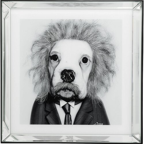 Картина в рамке Dog, KARE Design, коллекция "Собака" 60*60*5, Бумага, МДФ, Стекло, Зеркальное стекло, Белый, Черный