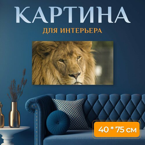 Картина на холсте "Лев, дикий, кошка" на подрамнике 75х40 см. для интерьера