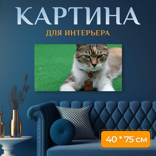 Картина на холсте "Кошка, бездомная кошка, кот" на подрамнике 75х40 см. для интерьера