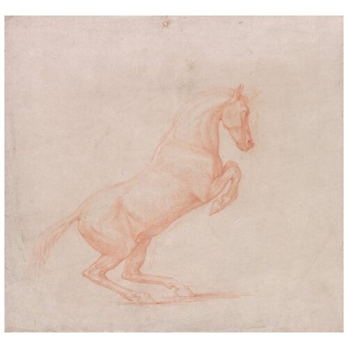 Репродукция на холсте Скачущая Лошадь, справа Стаббс Джордж 64см. x 60см.