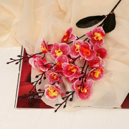 Poetry in flowers Цветы искусственные "Орхидея фаленопсис" 8х80 см, розовый микс