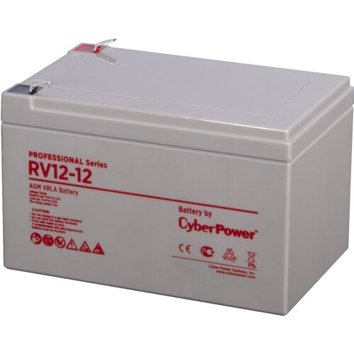 CyberPower Professional series RV 12-12