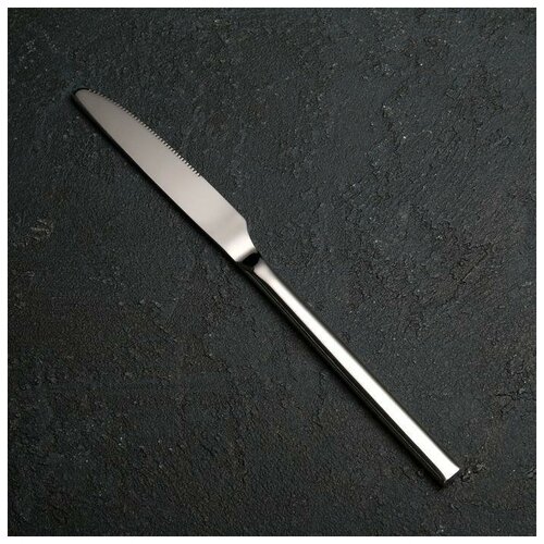 Нож столовый "Тайфун", 22,5 см, цвет серебристый, нержавеющая сталь, столовые приборы