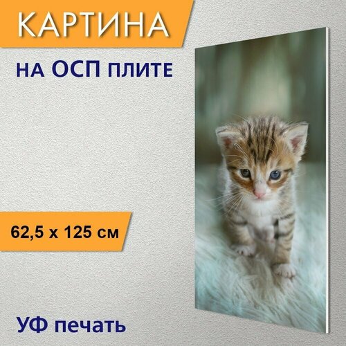Вертикальная картина на ОСП "Котенок, животное, милый" 62x125 см. для интерьериа