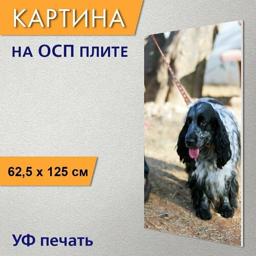 Вертикальная картина на ОСП "Спаниель, собака, домашний питомец" 62x125 см. для интерьериа