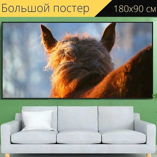 Большой постер "Лошадь, жеребенок, мороз" 180 x 90 см. для интерьера