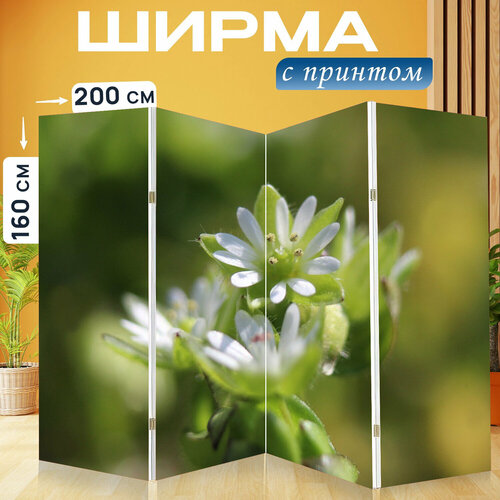 Ширма перегородка с принтом "Природа, растения, цветы" на холсте - 200x160 см. для зонирования, раскладная