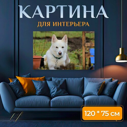 Картина на холсте "Собака, портрет животных, хаски" на подрамнике 120х75 см. для интерьера