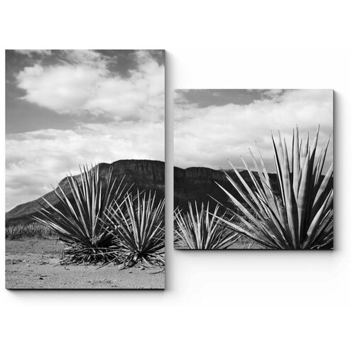 Модульная картина Мексиканский пейзаж 100x75