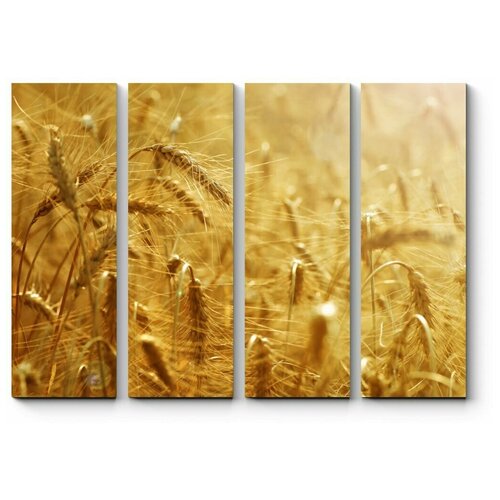 Модульная картина Золотая рожь 70x53