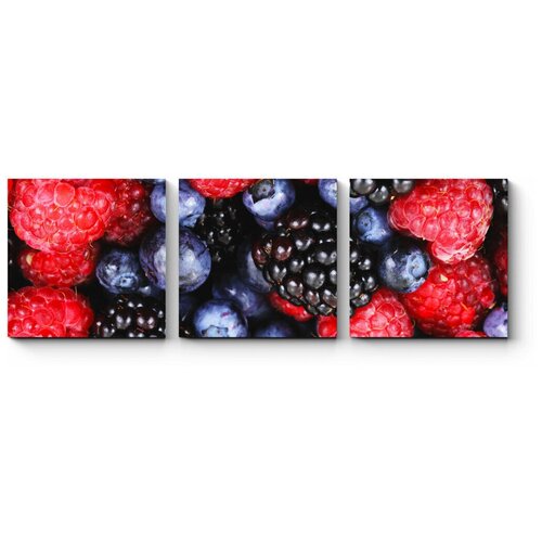 Модульная картина Сладкие ягоды 80x27