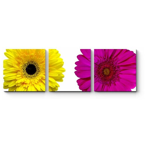 Модульная картина Насыщенность цветочных красок190x63