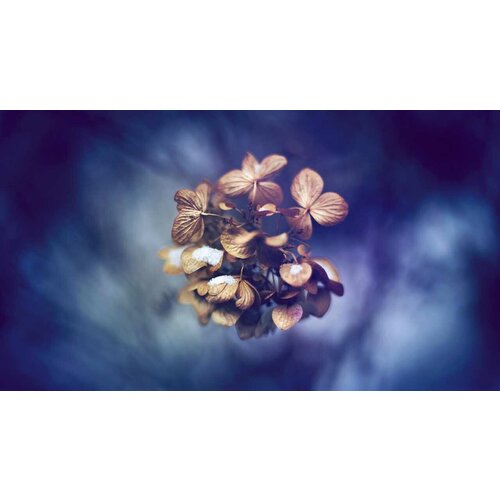 Картина на холсте 60x110 LinxOne "Растения природа макро синий" интерьерная для дома / на стену / на кухню / с подрамником
