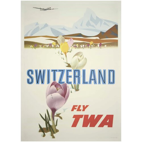 Постер / Плакат / Картина Прилетайте в Швейцарию 50х70 см в подарочном тубусе