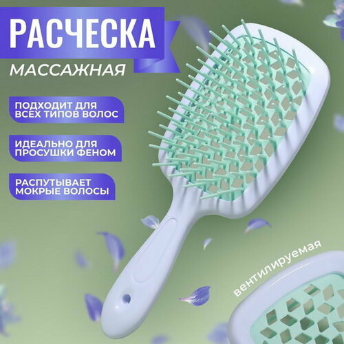 Расчёска массажная, широкая, вентилируемая, 8.5 x 20.5 см, PVC коробка, цвет белый/бирюзовый