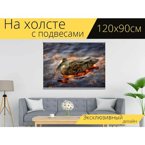 Картина на холсте "Утка, утка черный, озеро" с подвесами 120х90 см. для интерьера