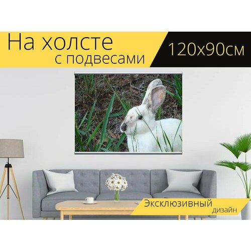 Картина на холсте "Кролик, белый, зайчик" с подвесами 120х90 см. для интерьера
