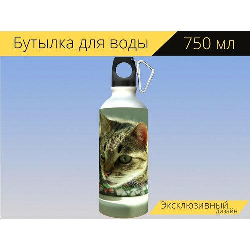 Бутылка фляга для воды "Кошка, кот, лежать" 750 мл. с карабином и принтом