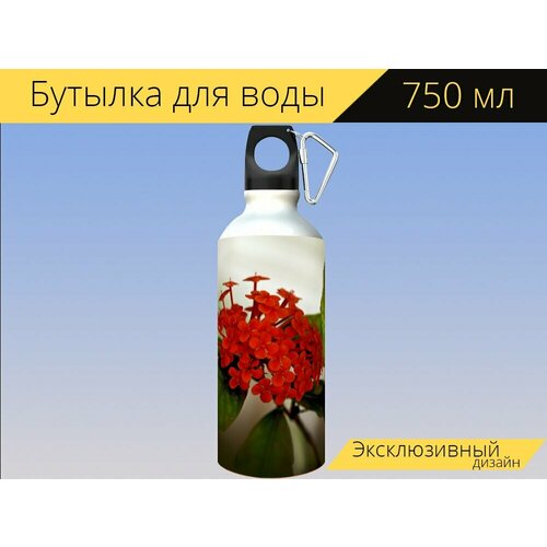 Бутылка фляга для воды "Цветок, иксора, красный" 750 мл. с карабином и принтом
