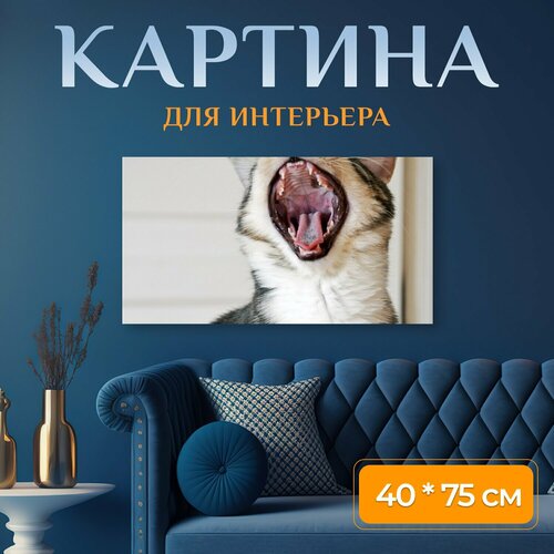 Картина на холсте "Кошка, зевать, зубы" на подрамнике 75х40 см. для интерьера