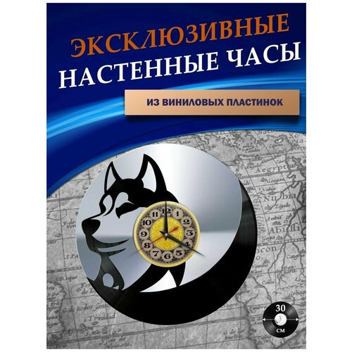 Часы настенные из Виниловых пластинок - Собака Хаски (серебристая подложка)