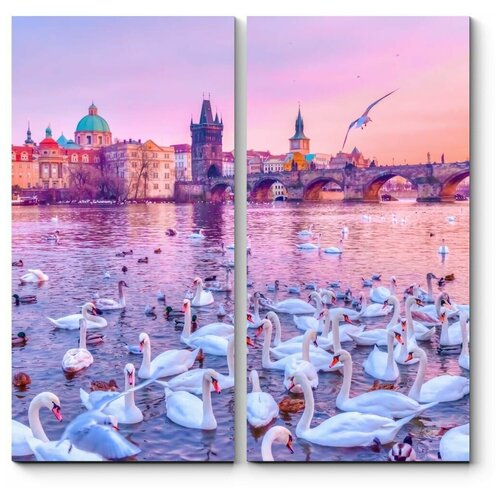 Модульная картина Лебеди на Влтаве, Прага 60x60