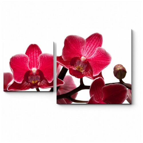 Модульная картина Магия орхидей 130x78