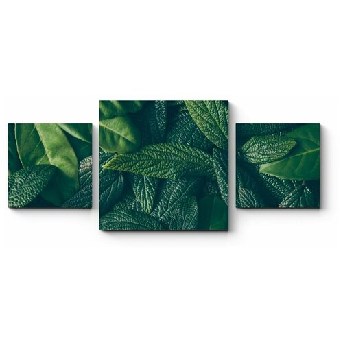 Модульная картина Зеленые сочные листья190x81