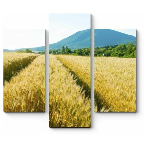 Модульная картина Пшеничное поле в лучах солнца 120x108