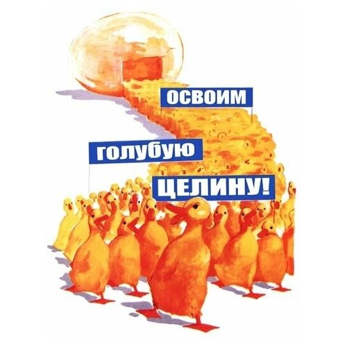 Плакат, постер на бумаге СССР/ Освоим голубую целину. Размер 21 х 30 см