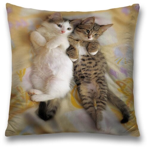 Наволочка декоративная на молнии, чехол на подушку JoyArty "Два кота" 45х45 см