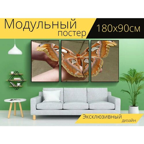 Модульный постер "Бабочка, огромные, огромный" 180 x 90 см. для интерьера