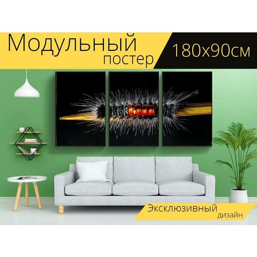 Модульный постер "Гусеница, волосатый, колючий" 180 x 90 см. для интерьера