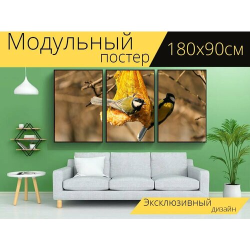 Модульный постер "Большая синица, птицы, подача" 180 x 90 см. для интерьера