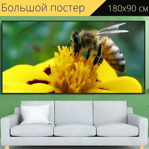 Большой постер "Пчела, всегда, закрывать" 180 x 90 см. для интерьера