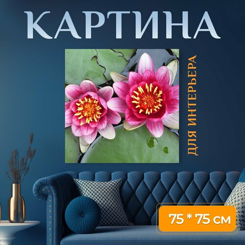 Картина на холсте "Цветок, завод, цвести" на подрамнике 75х75 см. для интерьера