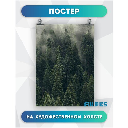 Постер на холсте Природа пейзаж лес (7) 40х60 см
