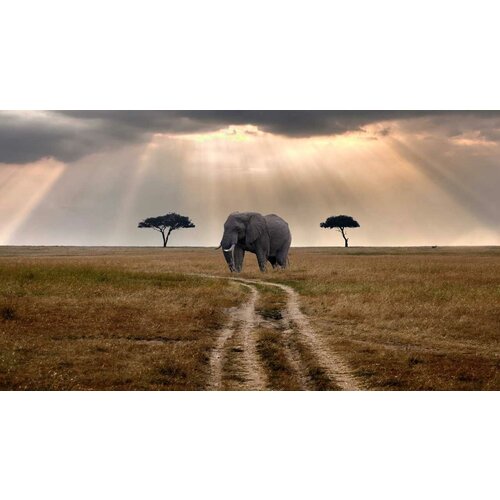 Картина на холсте 60x110 LinxOne "Солнечные Кения дорога слон" интерьерная для дома / на стену / на кухню / с подрамником