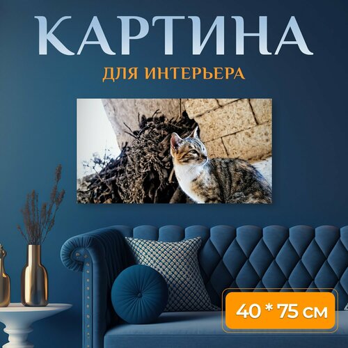 Картина на холсте "Кот, крит, монастырь" на подрамнике 75х40 см. для интерьера