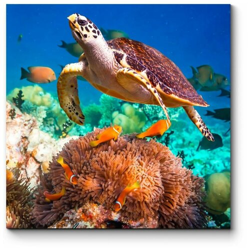 Модульная картина Черепаха в коралловом рифе100x100