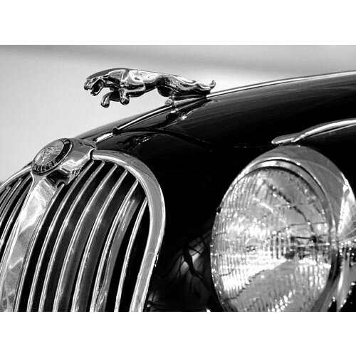 Плакат, постер на холсте Jaguar/Ягуар/авто/автомобиль/машина. Размер 21 х 30 см