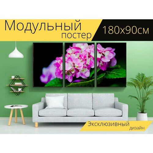 Модульный постер "Цветок, зеленый, сад" 180 x 90 см. для интерьера