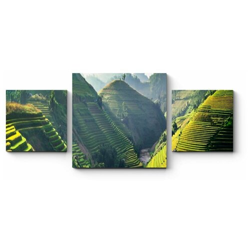 Модульная картина Вьетнамские рисовые поля в горах 140x60