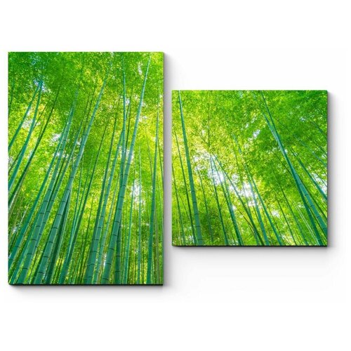 Модульная картина Бамбуковый лес 60x45
