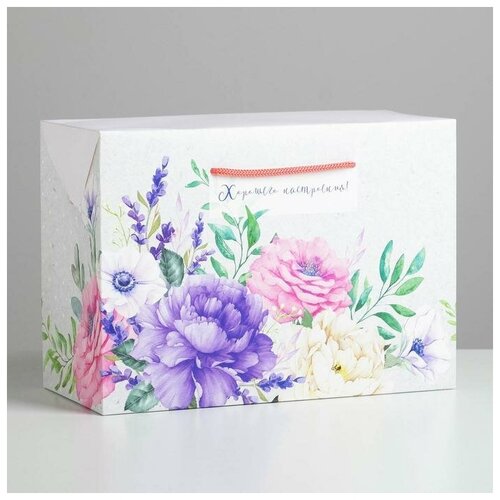 Пакет — коробка «Хорошего настроения», 28 × 20 × 13 см