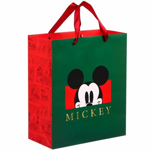 Пакет ламинированный вертикальный, "Mickey" Микки Маус, 23х27х11 см, 2 штуки